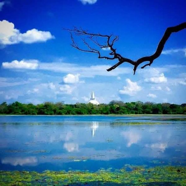 Basawakkulama Wewa (Abhaya Wewa): Sri Lanka's First Recorded Reservoir ...